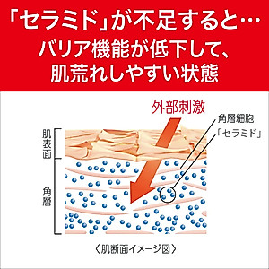 Curel Japan Kao Face Care | Moisture Lotion I Light 150ml