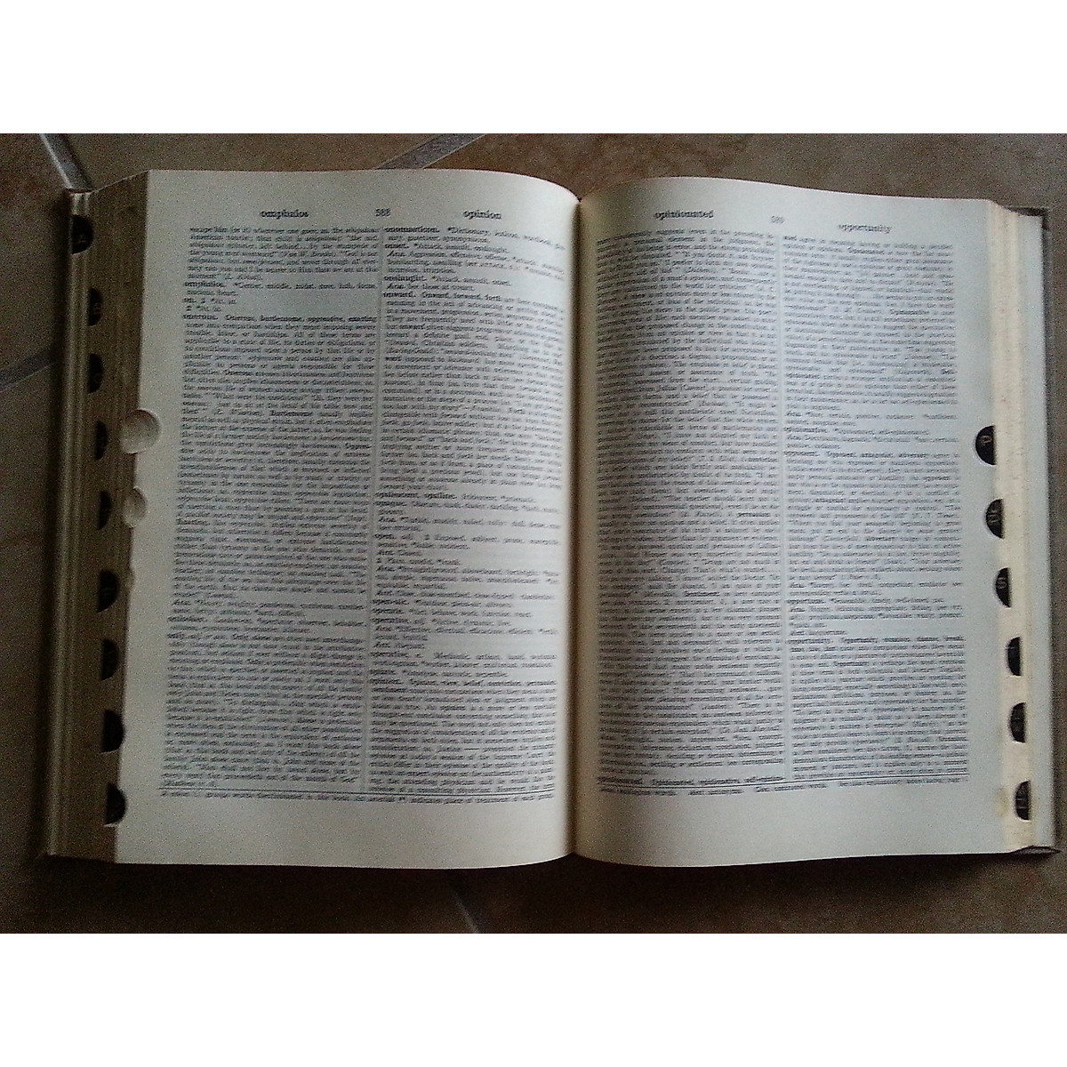 Webster's Dictionary of Synonyms 1st First Edition