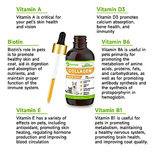 Liquid Collagen for Dogs and Cats, Skin and Coat Supplement for Dogs and Cats, Lustrous Coat, Vibrant Skin, Supplementary Nutrition, Improve Immunity, with Vitamin and Biotin