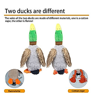 LNPAVET Dog Squeak Toy with crepe paper noise and generator, 2 dog and duck toys, durable chew toy, dog teething pet Toy, dog pet toy, for dog play and training