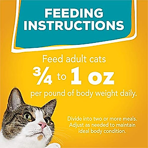 Purina Friskies Gravy Wet Cat Food Variety Pack, Tasty Treasures Prime Filets