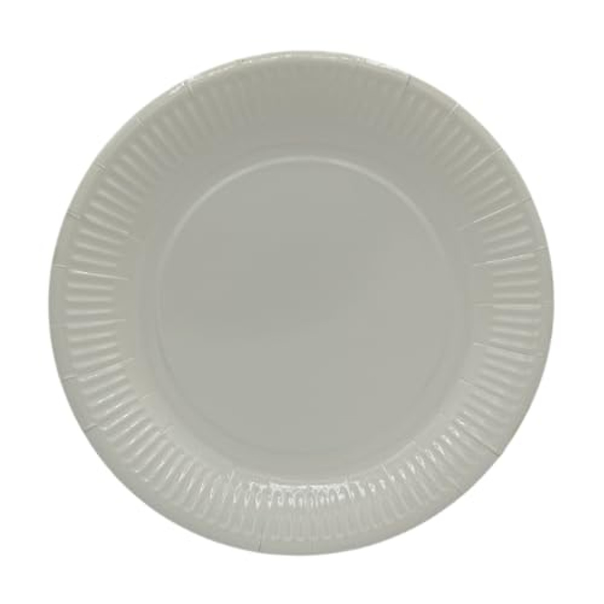 Disposable Eco-Friendly Party 9" Paper Plates Assorted Colors 20ct (White)