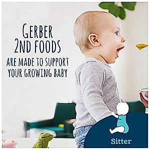 Gerber Baby Food, 2nd Foods, Apple Banana with Oatmeal, 8 OZ 2 count (Pack of 4)