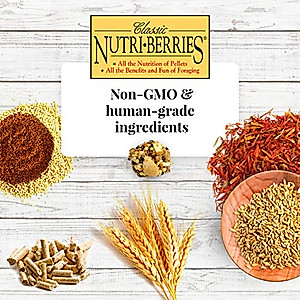 LAFEBER'S Classic Nutri-Berries Pet Bird Food, Made with Non-GMO and Human-Grade Ingredients, for Parrots, 3.25 lb