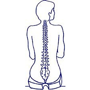 Tush Cush Car / Compu Computer Office Seat Cushion - Charcoal Gray