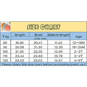 Baby Toddler Girls Fall Winter Long Sleeve Dress Floral Princess Casual Dress Kids Ribbed Tutu Skirt