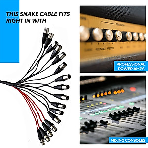 Seismic Audio Speakers 12 Channel Low Profile XLR Send Sub Snake Cable, XLR Splitter Cable, 25 Feet