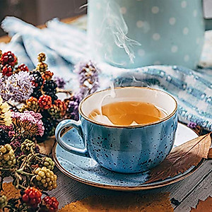 Pure and Organic Biokoma Horsetail Herb Organic Dried Leaves in Resealable Pack Moisture Proof Pouch, Horsetail Tea Organic 50g USDA Certified Organic, No Additives, No Preservatives, No GMO