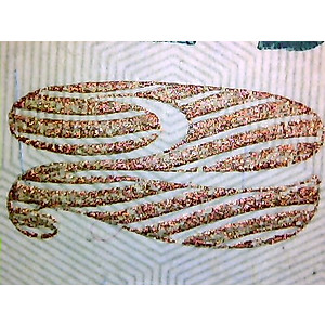 Supereyes B005+ 1~200X Handheld USB Digital Microscope Endoscope Loupe Otoscope Magnifier with 11mm Diameter Health Kit Tripod