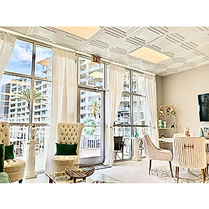 From Plain To Beautiful In Hours 232 Economy PVC Lay-in Ceiling Tile 2 ft. x 2 ft., White, 10 Pack