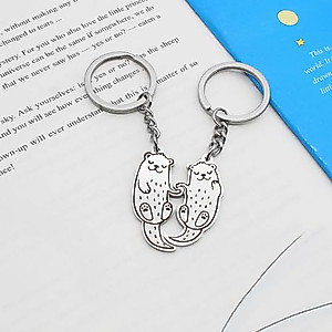HISYI fashion keychain 2 Pack Cute Animal Keychain Set Car Keychain Otters Key Holder Stainless Steel Bag Pendant Gift for Besties, As Shown in the Figure