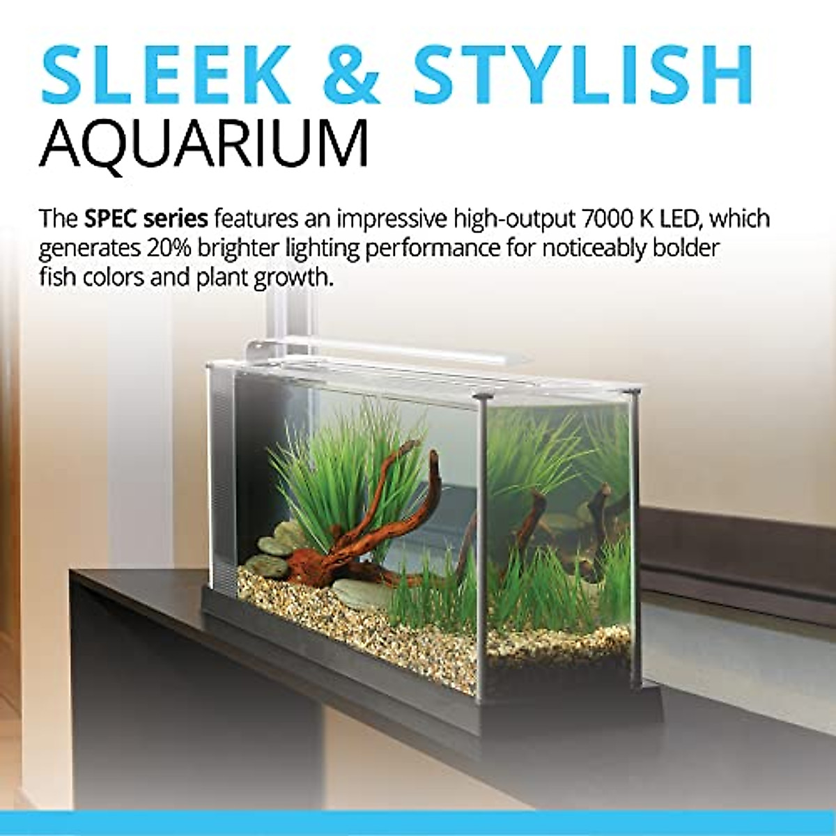 Fluval SPEC Aquarium Kit, Aquarium with LED Lighting and 3-Stage Filtration System, 5-Gallon