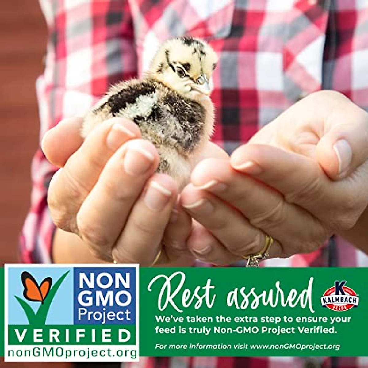 Kalmbach Feeds 18% Non-GMO Start Right Crumble Feed for Chicks, 50 lb Bag