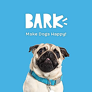 Barkbox Squeaker Ball Toys, Interactive Tennis Balls for Fetch, Training and Exercise, Engaging Plush Toys for Small, Medium, & Large Dogs (F-Bomb, Medium/Large Dog)