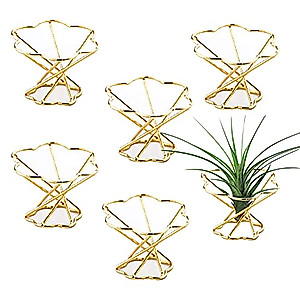 LIYI Air Plant Holder, Metal Air Plant Stand Container Airplant Display Racks for Home, Office and Wedding Decoration (Gold)