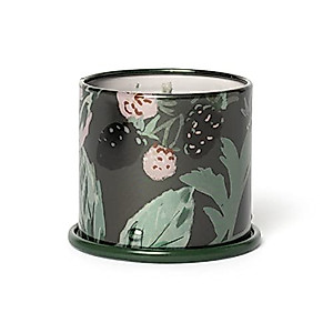 Illume Beautifully Done Essentials BlackBerry Absinthe Demi Vanity Tin Scented Candle