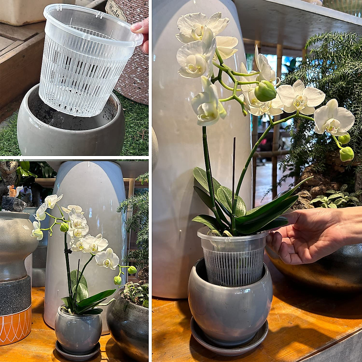 Tialero Orchid Pot, 12 Pack Orchid Pots with Holes, 4 Each of 4.5in, 5.5in and 6.3in Clear Orchid Pots for Repotting, Breathable Slotted Orchids Planter (4Pcs 6.3in+ 4Pcs 5.5in+ 4Pcs 4.5in)