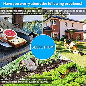 Owl Decoys to Scare Birds Squirrels Away,Owls to Frighten Birds 360 Degree Rotating Head,Plastic Owl Decoy to Scare Birds Away Deterrent,Garden Owls Bird Scare Devices for Indoor Outdoor Garden,Yard