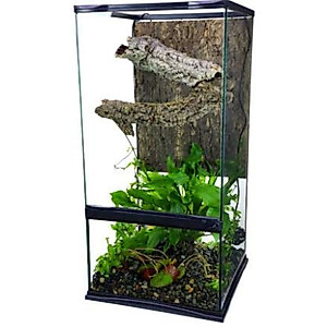 Zoo Med Paludarium Habitat Kit - 12" x 12" x 24"