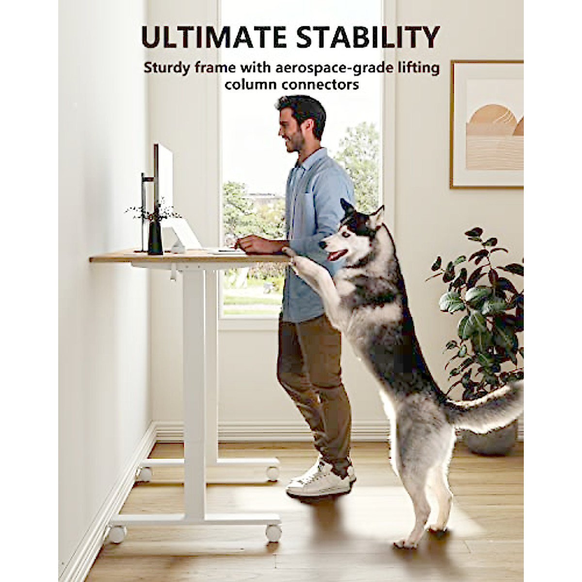 BANTI 55'' Standing Desk, Electric Stand up Height Adjustable Home Office Table, Sit Stand Desk with Splice Board, Maple