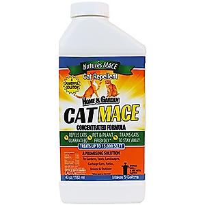 Nature's MACE Cat Repellent 40oz Concentrate/Treats 15,000 Sq. Ft. / Keep Cats Out of Your Lawn and Garden/Train Your Cat to Stay Out of Bushes/Safe to use Around Children & Plants