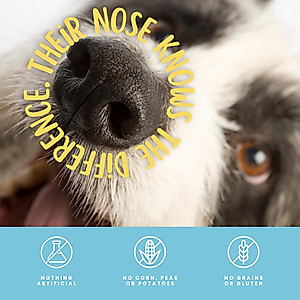 hotspot pets Beef Tendon Chews for Dogs (10 Pack) - 8 Inch All Natural, Free-Range, Grass-Fed Premium USDA Gambrol Beef Tendon Stick Treats - Made in USA