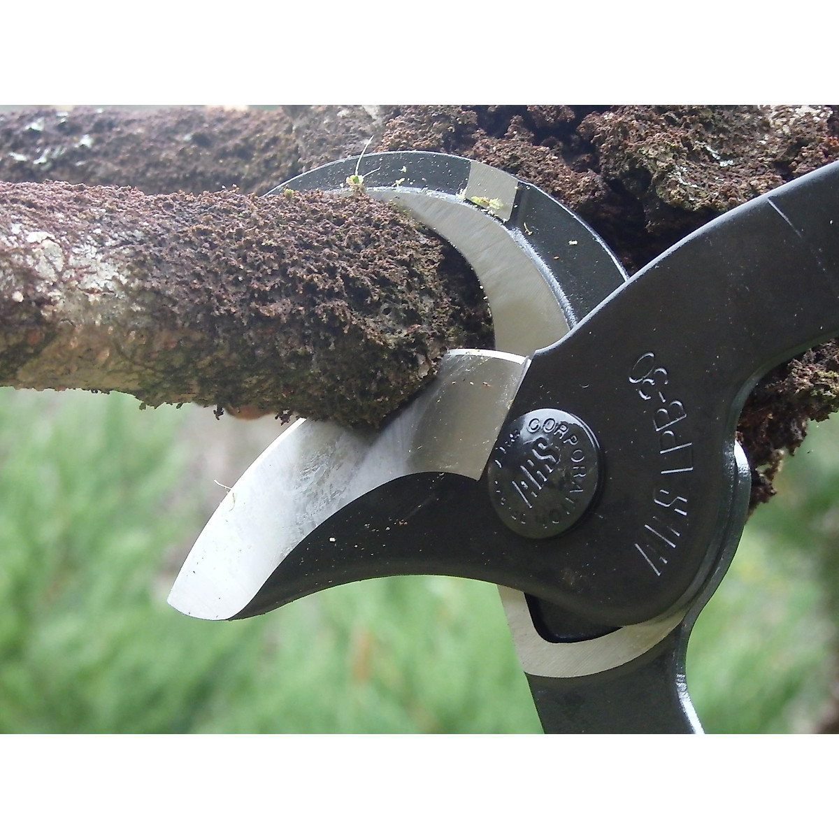 ARS LPB-30L Branch Lopper