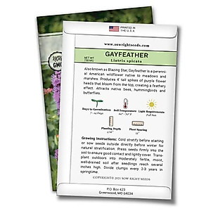 Sow Right Seeds - Gayfeather Liatris Spicata Flower Seed for Planting - Beautiful Flowers to Plant in Your Home Garden - Non-GMO Heirloom Seeds - Pink Blooms Attract Bees and Butterflies - Great Gift