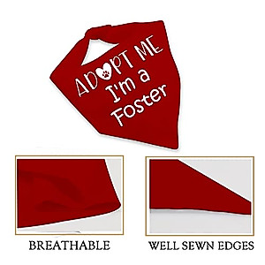 JXGZSO 1 Piece Adopt Me I'm a Foster Dog Bandana Adopted Dog Bandana Baby Dog Announcement Dog Bandana (I'm a Foster D)