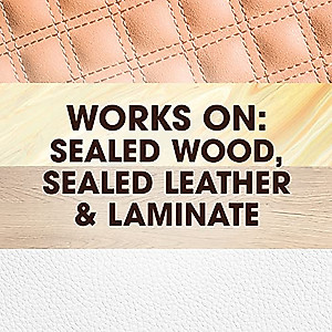 Pledge Moisturizing Oil Spray, Amber & Argan Scent, Nourishes, Protects and Revitalizes Furniture, 9.7 oz