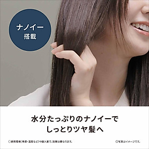 Panasonic EH-HS0J Straight Iron Nanocare AC100-240V Shipped from Japan Released in May 2022 (Black)