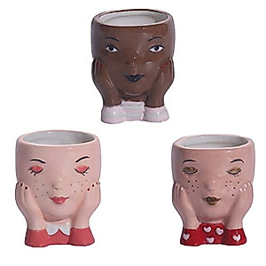 Cabilock 3pcs Ceramic Flowerpot Face Flower Vase Ceramic Indoor Planters Ceramic Head Pots for Plants Animal Succulent Planter Head Flower Pot Ceramic Pot Ceramics Head Flowerpot Flowers