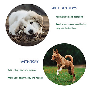 GOGOPETS Dog Chew Toys Rope - Colorful Rope Puppy Chew Toys Washable Cotton Rope Toys Set for Small Dog Puppy Pet（4 Packs/Set）