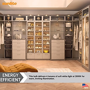 Sunlite T1.75 Mini-Tube Bulb, 1.12 Watts, 4 Lumens, 14 Volts, C-2F Filament, European Glass Wedge W2x4.6d Base, Clear Finish, 2800K Soft White, for Automotive & Indicator Lights, 10 Pack