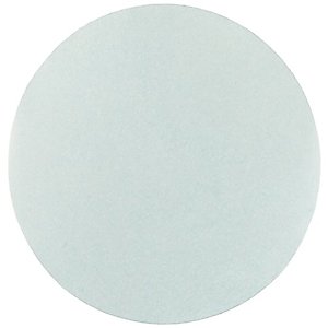 Omicron 170047X Nylon Membrane Filters, 0.45 μm, 47 mm (Pack of 100)