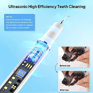 AAU Dog Plaque/Tartar Remover for Teeth - Rechargeable Safe Pets Ultrasonic OLED Screen Tooth Brushing Kit for Canine/Cat/Dog Teeth Cleaning, with Canident Dog Tartar Remover, 3 Replacement Heads