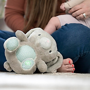Ingenuity Heart to Hugs Sylvi Soothing Plush Toy with Lights, Vibrations, & Music