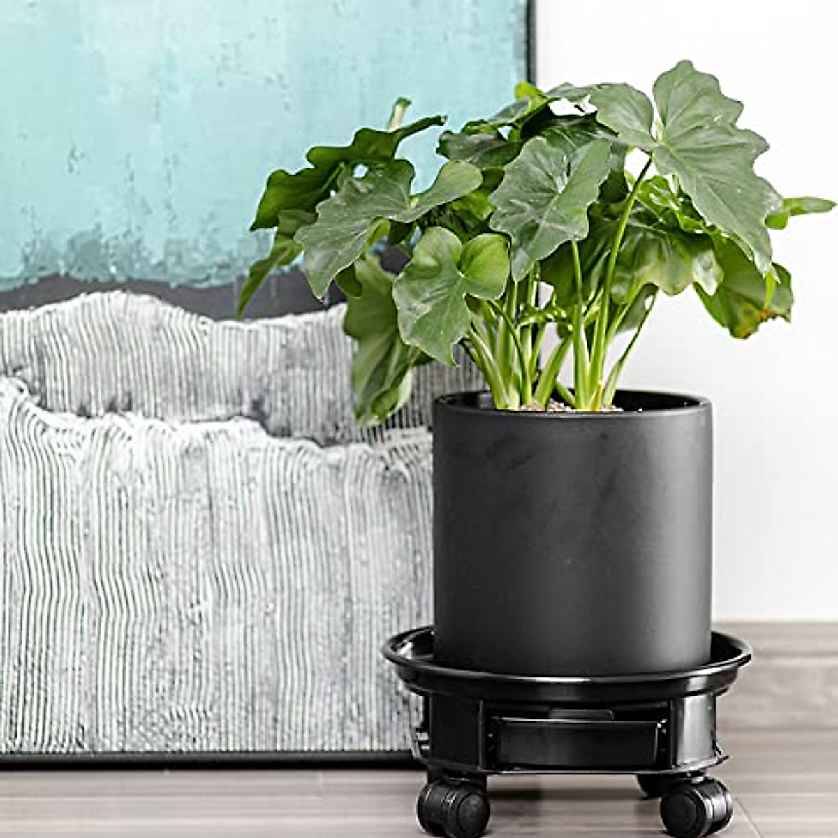 CACXKEP Plant Stand with Wheels Plant Caddy with Wheels Rolling Plant Tray Saucer Pots Accessories Indoor Planters Camper Must Haves Gardening Supplies Outdoor,M