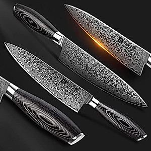 XINZUO Damascus 2Pcs Kitchen Knife Set, Hand Forged 67 Layers Damascus steel Chef Knife Utility Knife, Special cooking knife for restaurant kitchen, Ergonomic Pakkawood Handle - YA Series