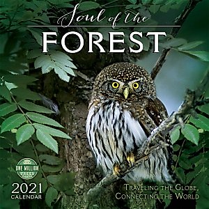 Soul of the Forest 2021 Calendar