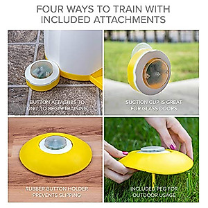 Arf Pets Dog Treat Dispenser with Remote Button – Dog Memory Training Activity Toy – Treat While Train, Promotes Exercise by Rewards, Improves Memory & Positive Training for A Healthier & Happier Pet
