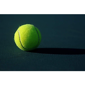 Penn High Altitude Tennis Balls Championship – 6 Pack 18 Balls Yellow - USTA & ITF Approved - Official Ball of The United States Tennis Association Leagues - Natural Rubber for consistent Play