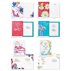 American Greetings All Occasion Card Bundle, Kathy Davis Designs (40-count)