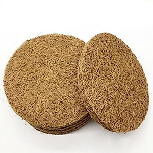 balacoo Pigeon Pad 30 pcs Warm Substrate Breathable Eggs Cushion Pad Breeding Basin Supplies Pigeon Safe Finch Winter Poultry Racing Materials, Mat - Chicken Fiber Birds Nesting Bird Reptile Bridge