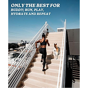 Rallie Peanut Butter Enhanced Water Supplement for Dogs - Includes Collagen for Skin & Coat, Glucosamine for Hip & Joint Support, as Well as Electrolytes for Superior Hydration Pack of 12