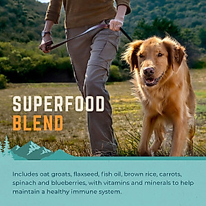 Natural Balance Original Ultra Chicken & Barley Small-Breed Bites Dry Dog Food 11 Pound (Pack of 1)