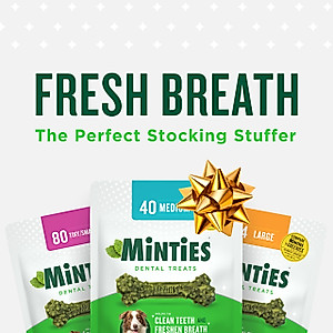 Minties Dental Chews for Dogs, 40 Count, Vet-Recommended Mint-Flavored Dental Treats for Tiny/Small Dogs 5-24 lbs, Dental Bones Clean Teeth, Fight Bad Breath, and Removes Plaque and Tartar
