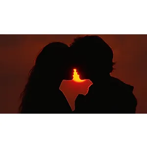 The Princess Bride (The Criterion Collection) [4K UHD]