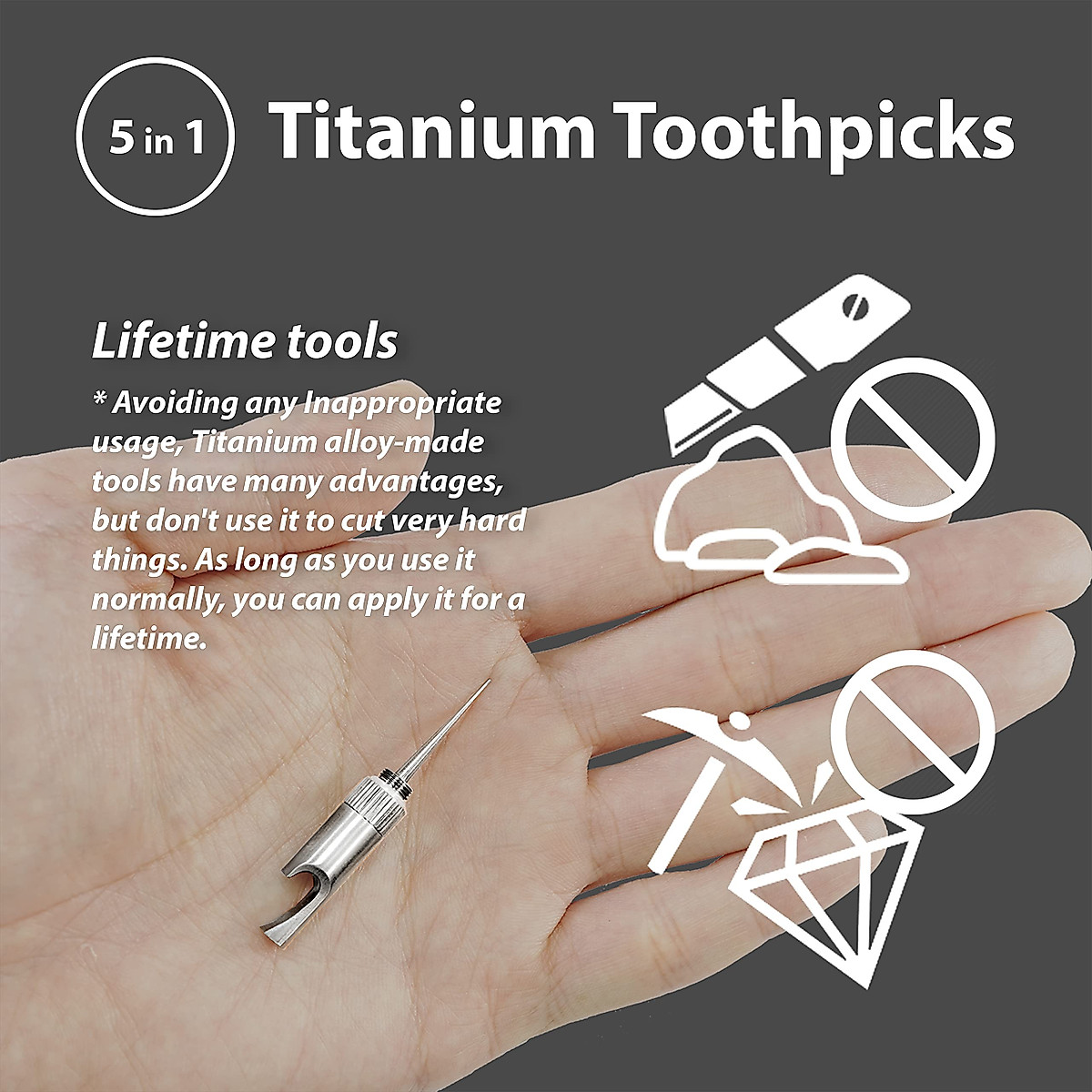Titanium Toothpick with Holder, 100% Titanium Alloy Keychain Toothpick,Titanium EDC toothpick Tools 5-in-1, Bottle Opener, Box Opener, Mini Cutter, Car Window Breaker, Titanium Gifts for Men and Women