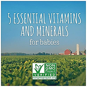 Gerber Puffs Variety Pack, 1 Banana, 1 Vanilla, 1 Blueberry, 3 CT